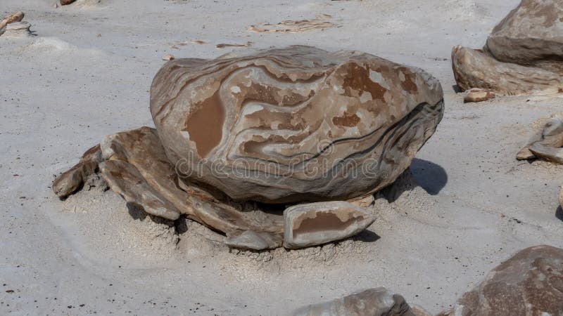 Brown Alien Egg in the Wilderness Stock Photo - Image of view, outdoor ...