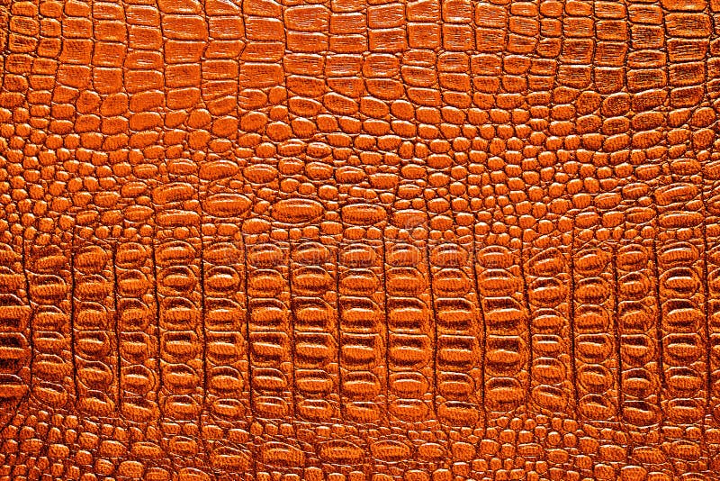 Brown Alligator Glossy Natural Leather on Macro, Texture. Stock Image ...