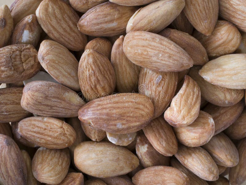 Brown almond stock photo. Image of closeup, almond, salted - 47035464