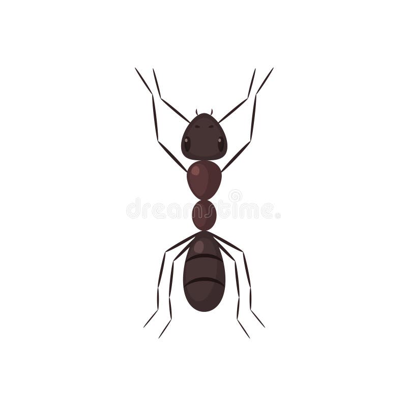 Ant Top View Stock Illustrations – 343 Ant Top View Stock Illustrations ...