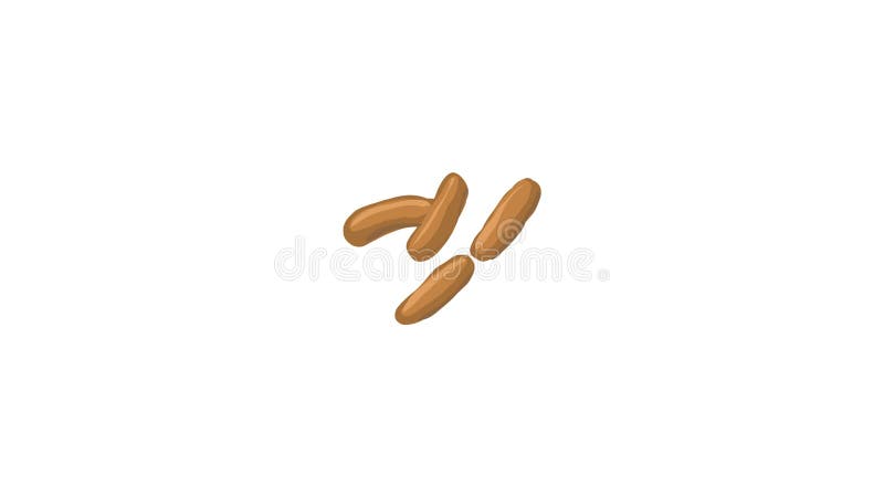 Brown Bacillus Bacteria with Copy Space Stock Illustration ...