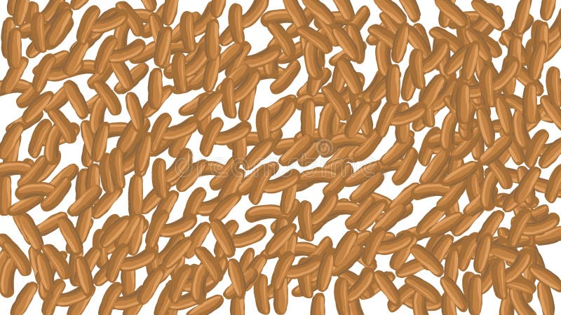Brown Bacillus Bacteria with Copy Space Stock Illustration ...