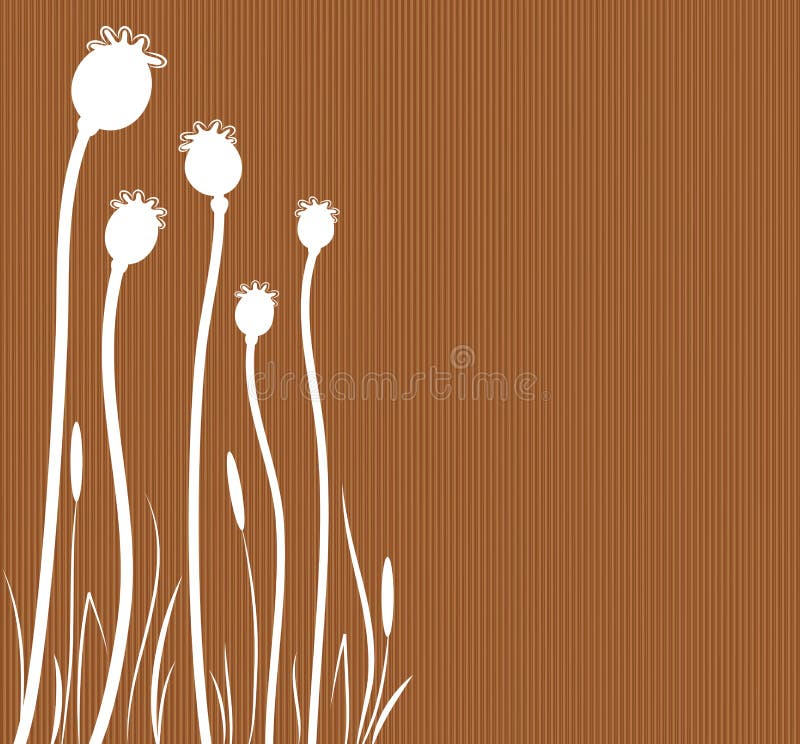 Daisy Field Outline Sketch Hand Drawing,Daisy Wallpaper Background ...