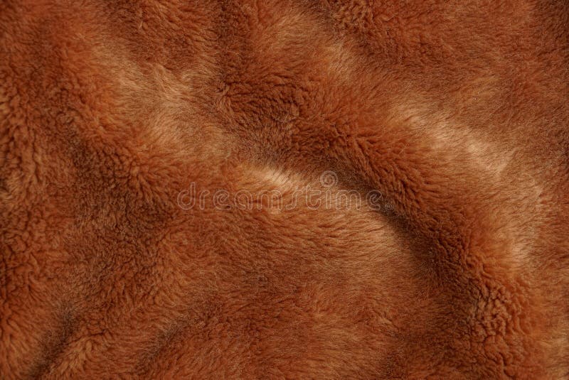 Brown Texture of Natural Fur on a Piece of Fur Coat Stock Photo - Image ...