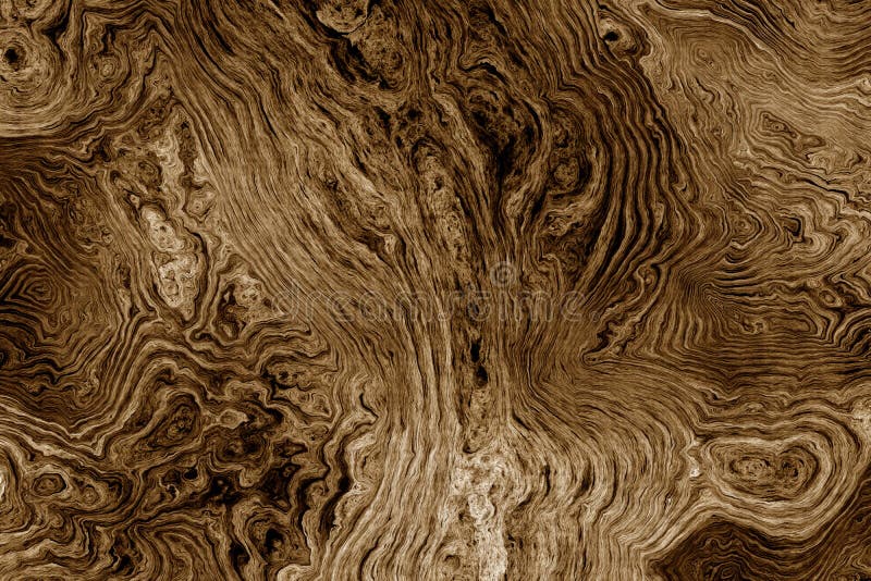 Rotten Trunk Tree Stock Illustrations – 458 Rotten Trunk Tree Stock ...