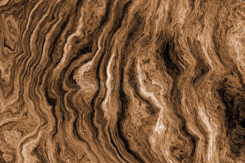 Tree Root Surface Stock Illustrations – 316 Tree Root Surface Stock ...