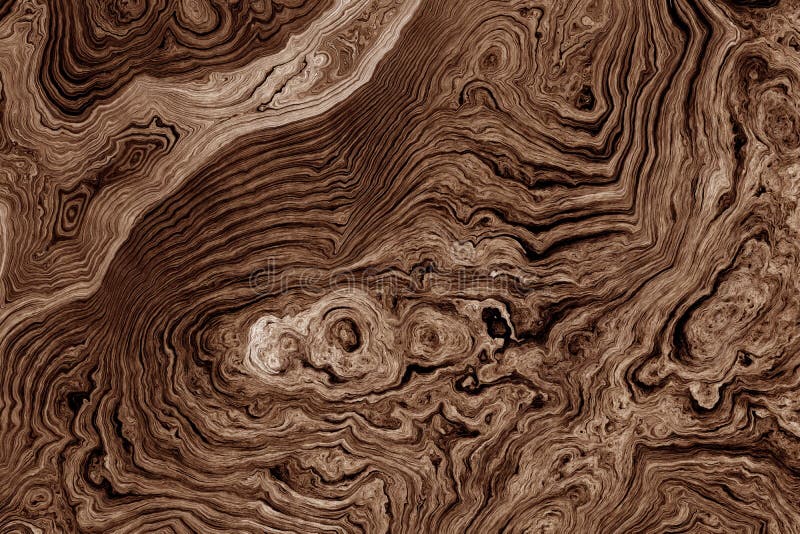 Tree Roots Background With Wavy Rings Stock Illustration - Illustration ...