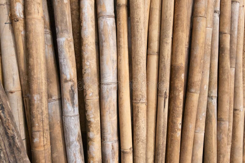 Brown Bamboo Pile Prepare for Construction Building Materials Stock ...