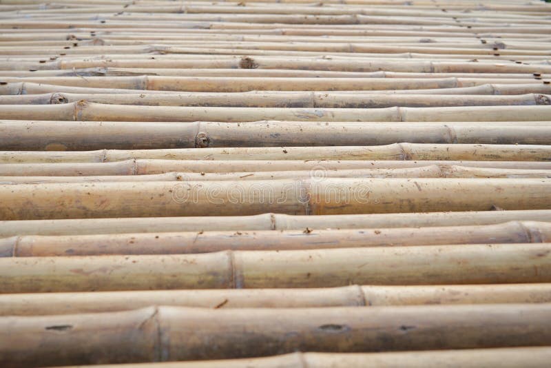 Brown bamboo stick pattern stock photo. Image of bunch - 129974412