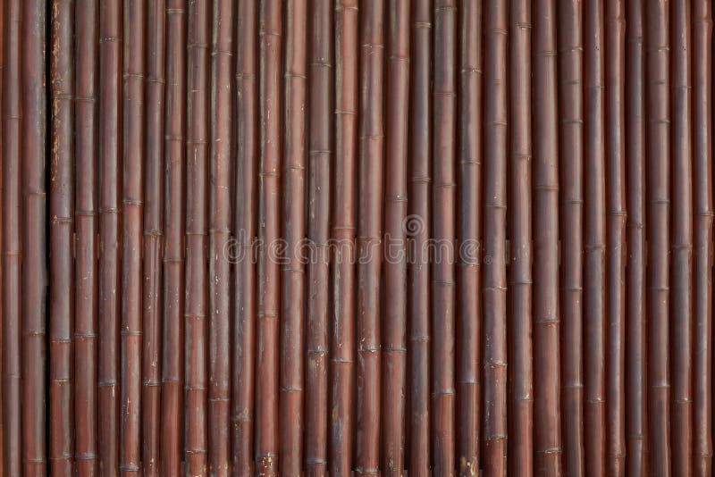 Brown Bamboo Wall for Background - Art of Pattern, Wallpaper, Natural ...