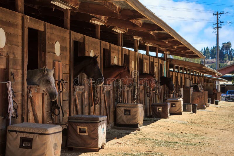 Brown Bay Horse View Out the Stable in a Barn Stock Photo - Image of ...