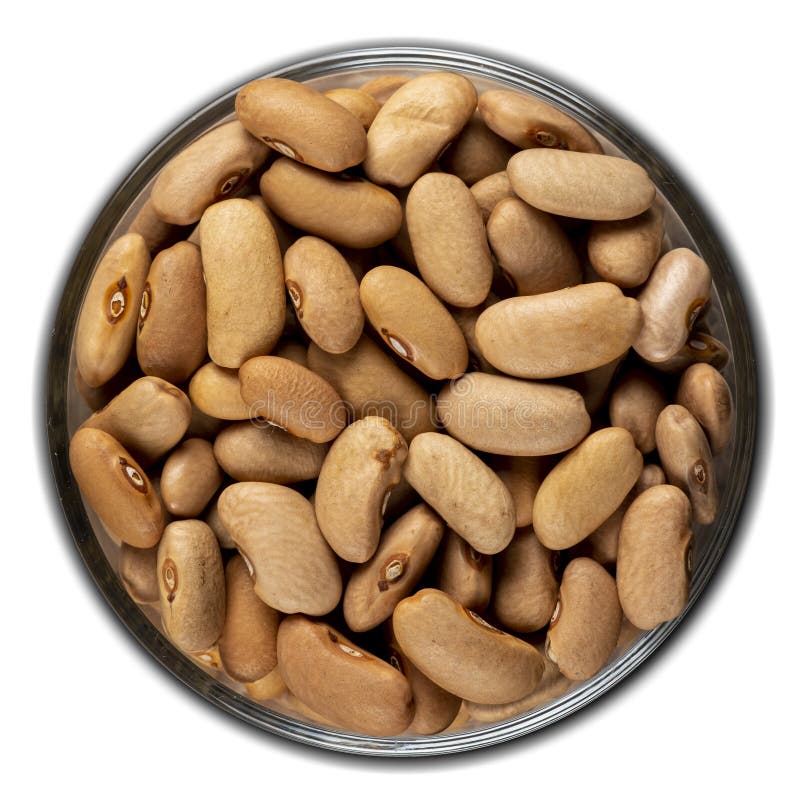 Brown beans stock photo. Image of vegetarian, long, organic - 155508552