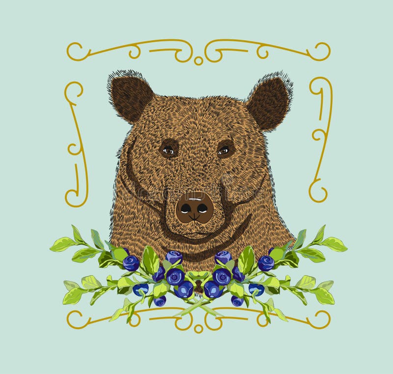 Brown Bear with Blueberry Branches. Stock Vector - Illustration of leaf ...