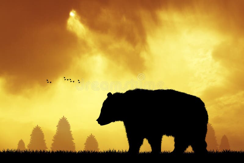 Brown Bear in the Forest at Sunset Stock Illustration - Illustration of ...