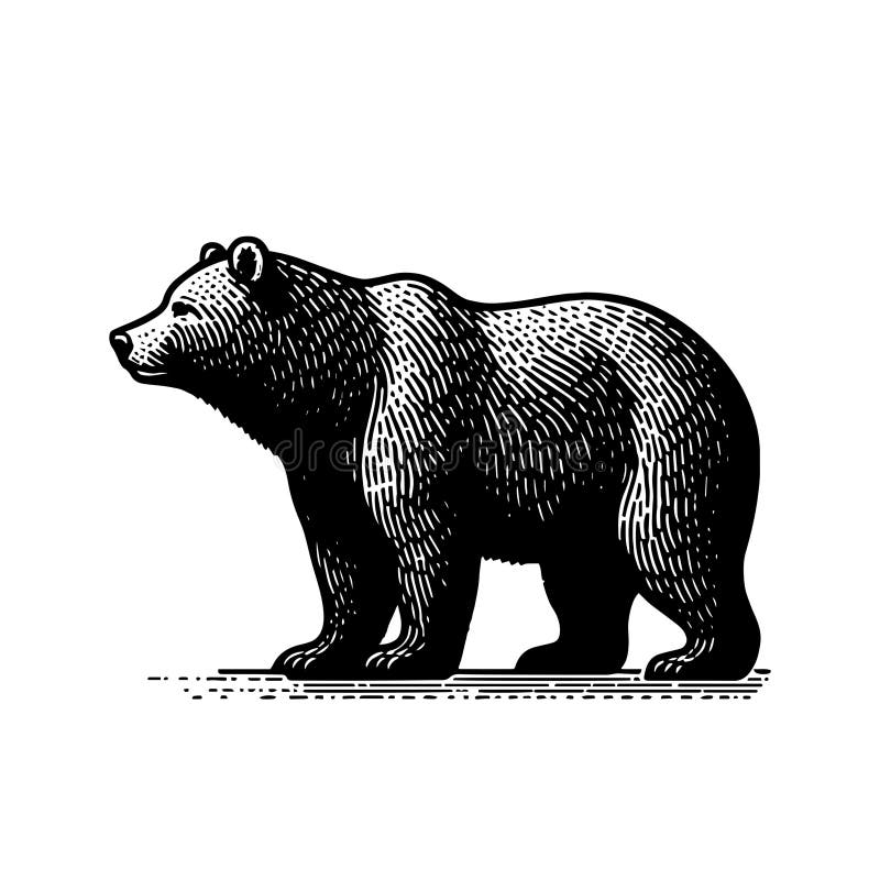 Brown Bear in Vintage Rustic Style Vector Icon Illustration. Stock ...