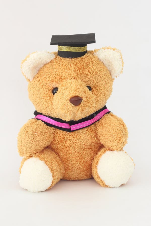 Brown Bear Wearing a Graduation Cap. Stock Photo - Image of childhood ...