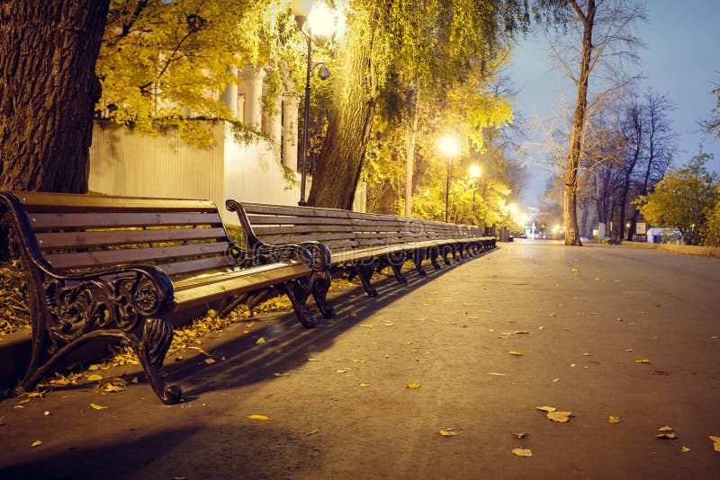 Brown Benches in Perspective in the Park. Evening Stock Photo - Image ...