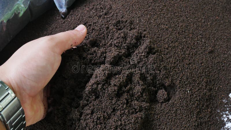Bio Fertilizer Earthworm Manure for Plants Stock Image - Image of heap ...