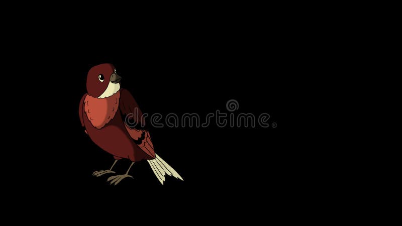 Brown Bird Flies. Back View Stock Video - Video of motion, brown: 92497677