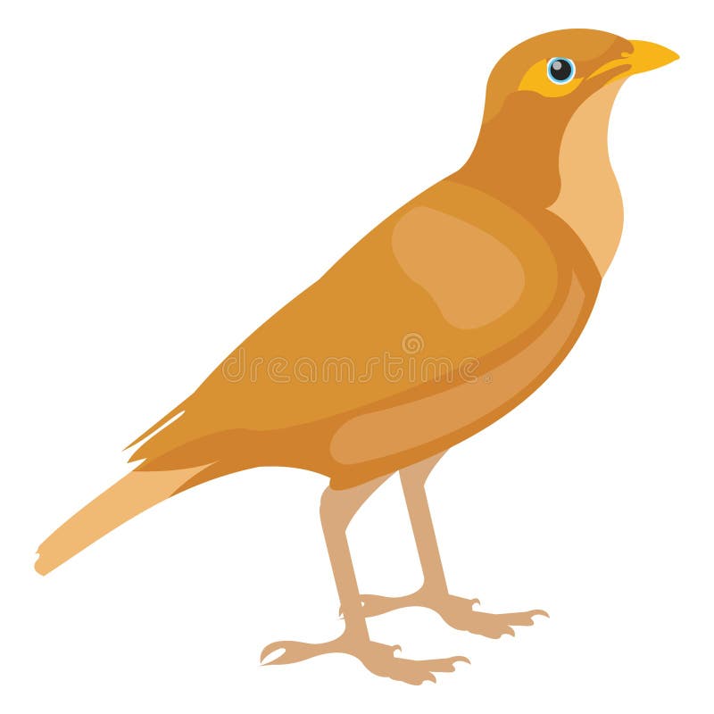 Myna Bird Stock Illustrations – 129 Myna Bird Stock Illustrations ...