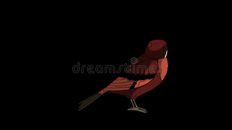 Brown bird jumping. stock video. Video of moving, sequence - 92286477