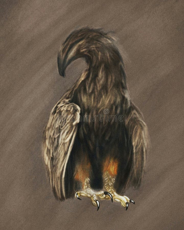 Brown Bird, Raster Illustration of a Seated Eagle on a Sandy Background ...