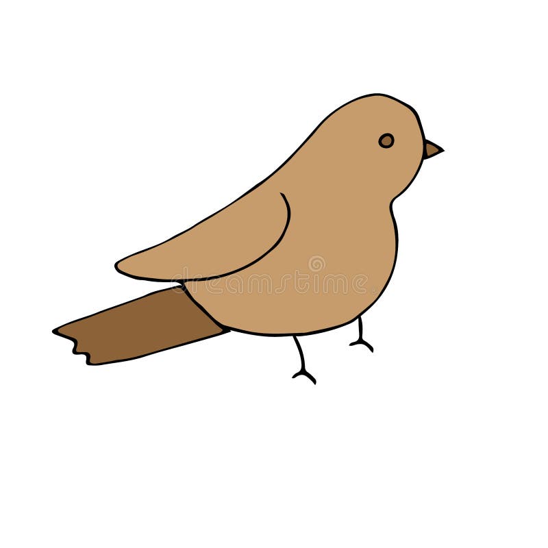 Brown Bird, Vector Illustration, Doodle, Hand Drawing Stock ...