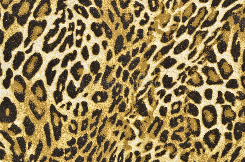 Brown and Black Leopard Pattern. Stock Illustration - Illustration of ...