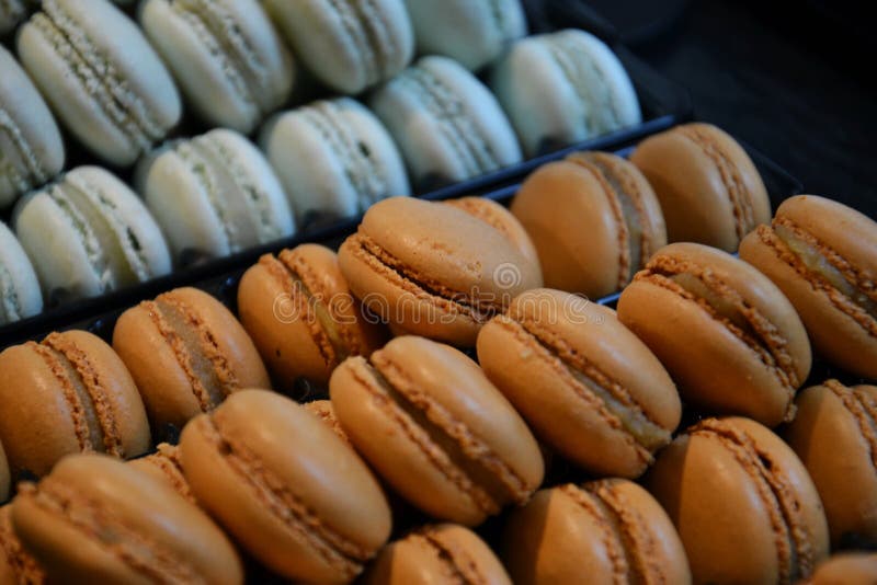 Brown and blue macarons stock photo. Image of baked, brown - 46739606