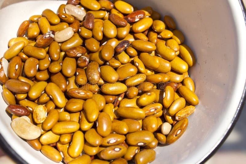 Lovedv - Photographer profile