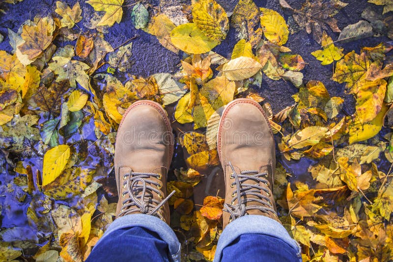 Brown Boots with Colorful Leaf Fall Tree. Autumn Time Leaves Puddle Top ...