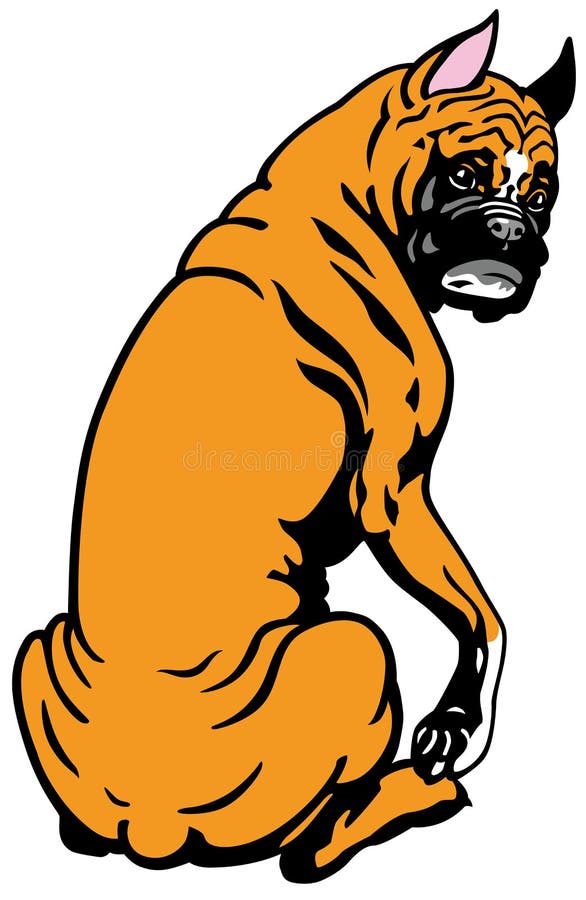 Boxer stock vector. Illustration of canine, animal, domestic - 45199430