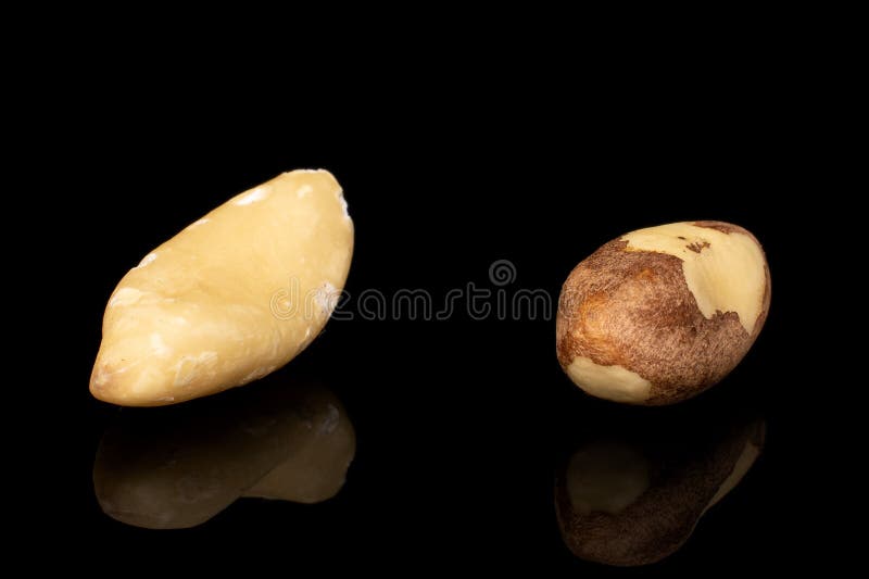 Brown Brazil Nut Isolated on Black Glass Stock Photo - Image of healthy ...