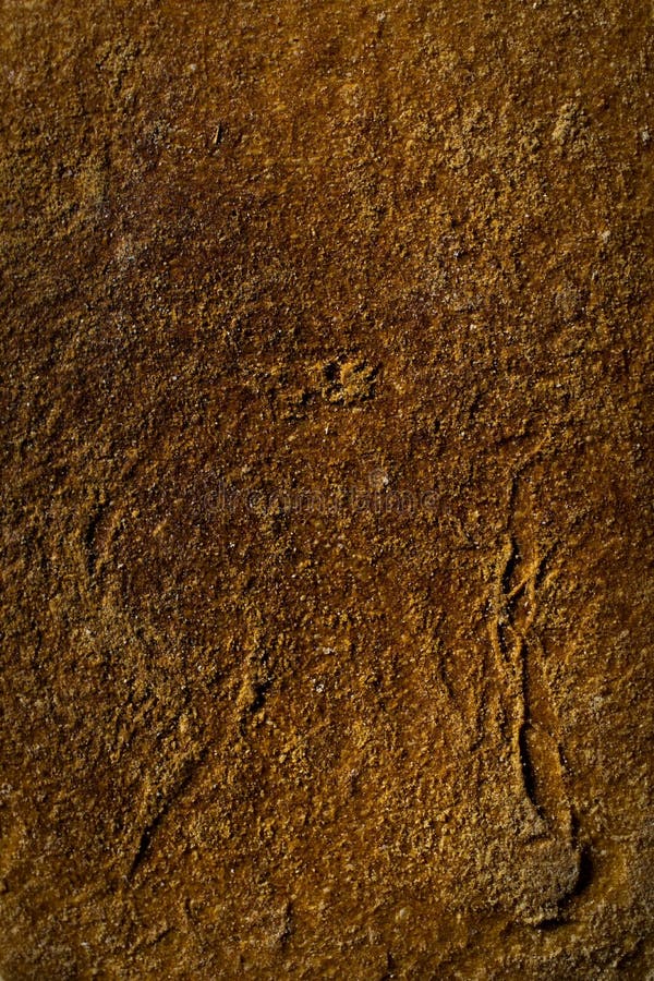 Brown Bread Crust with Visible Details. Texture or Background Stock ...