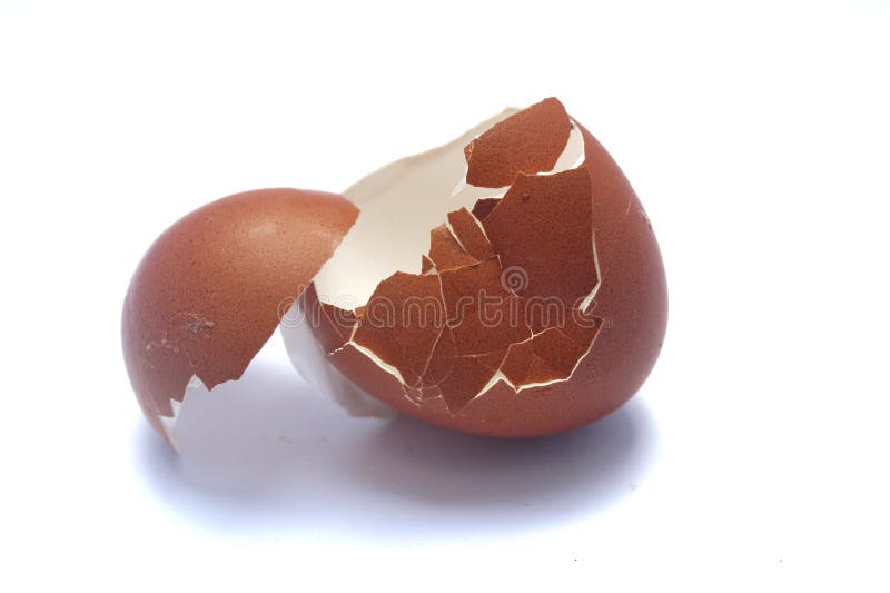Brown Broken Egg Shell Isolated Stock Photo - Image of group, food ...