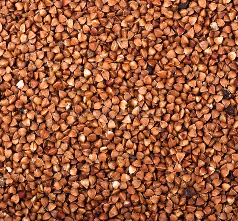 Brown buckwheat stock image. Image of heap, meal, health - 12642959