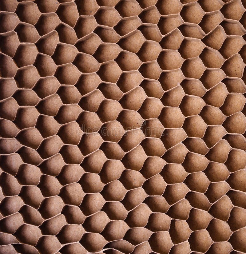 Brown Textured Raised Depressed Bumpy for Backgrounds and Textures ...