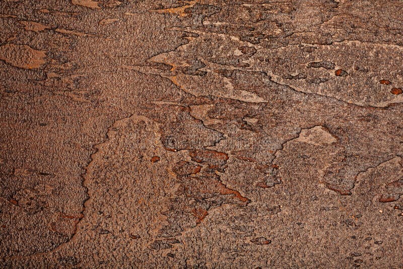 Brown wall texture stock photo. Image of detail, amber - 105521004