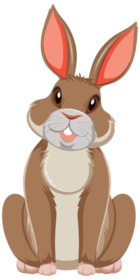 Brown Bunny Sitting on White Background Stock Vector - Illustration of ...
