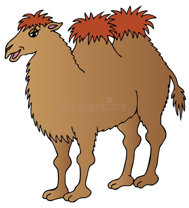 Brown Camel on White Background Stock Vector - Illustration of wildlife ...