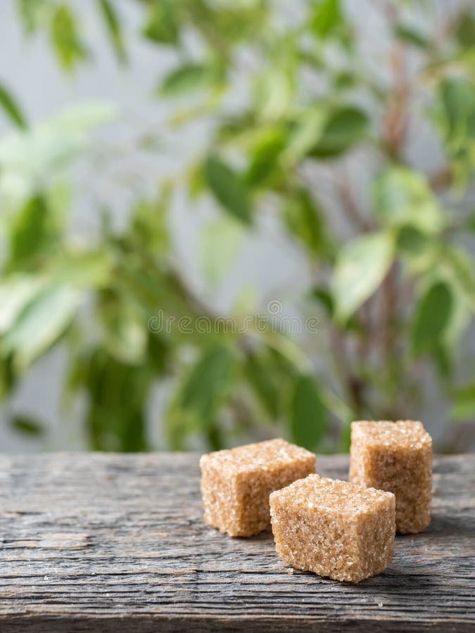 531 Black Sugar Cane Tree Stock Photos - Free & Royalty-Free Stock ...