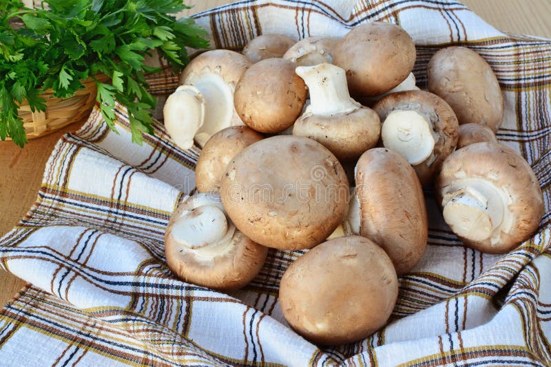Brown Cap Cremini Mushrooms Stock Image - Image of fresh, crimini: 59204967