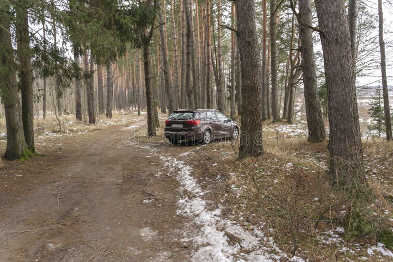 Brown Car Parked by a Forest Path Stock Image - Image of beautiful ...