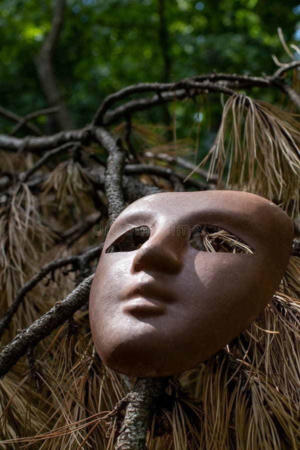 Brown Carnival Mask Hidden in Tree Needles Stock Image - Image of ...