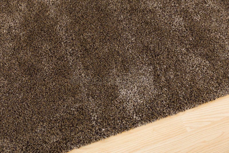 Brown carpet at home stock photo. Image of floor, nylon - 36355592