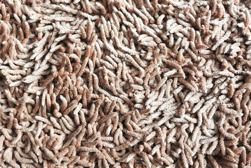 Brown Carpet Rugs stock photo. Image of wool, contemporary - 36311222