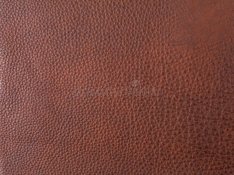 Brown Cattle Leather Texture Background Stock Photo - Image of closeup ...