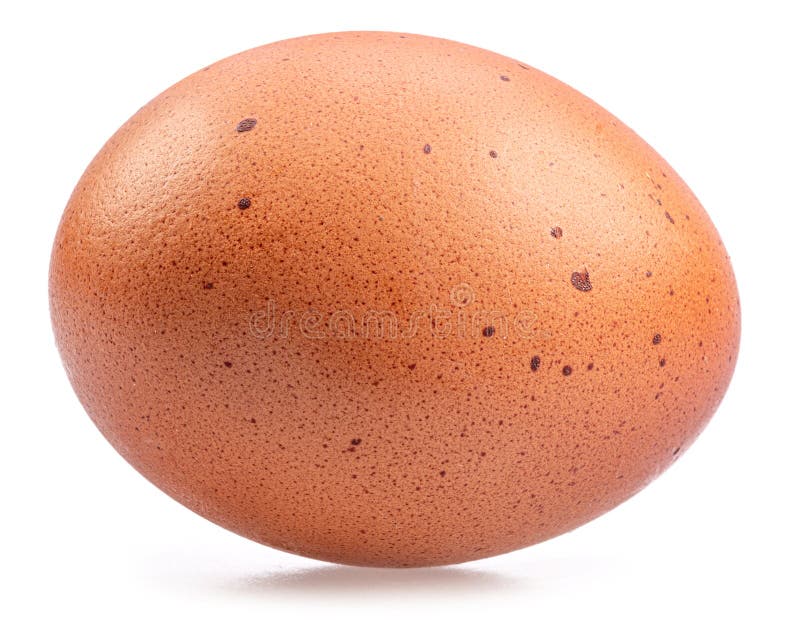 Brown Chicken Eggs Isolated on White Background Stock Image - Image of cooking, pastured: 266861611