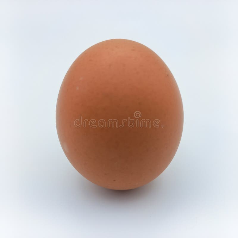 Chicken Egg Standing Position Stock Photos - Free & Royalty-Free Stock ...