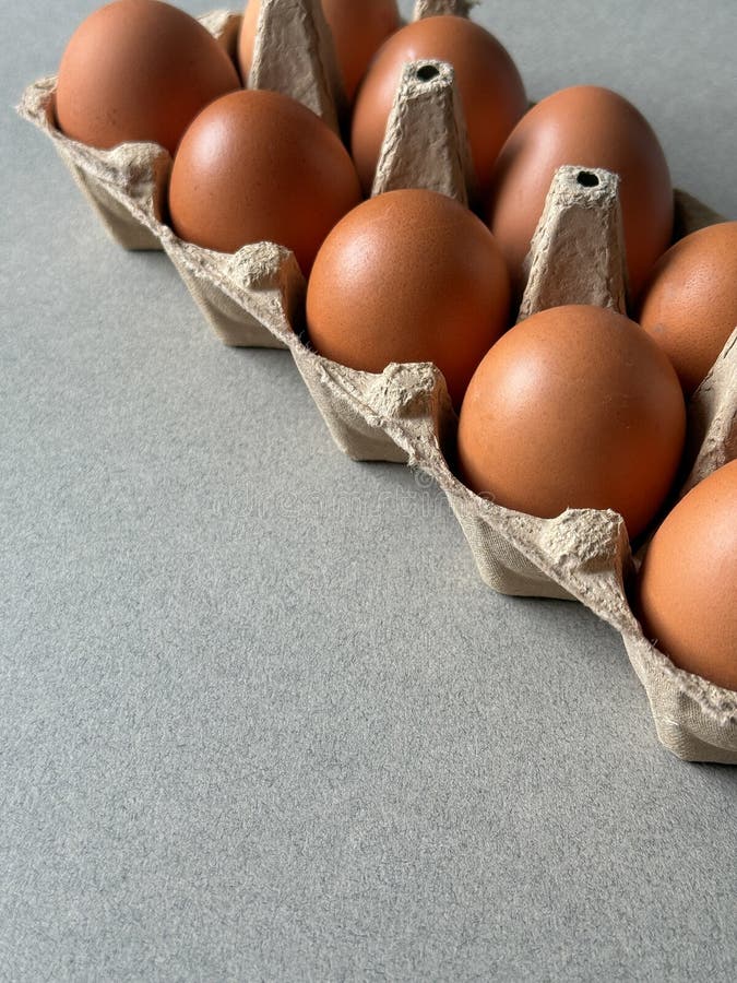 Brown Chicken Eggs in a Paper Tray Side View Stock Image - Image of ingredients, nature: 361732681